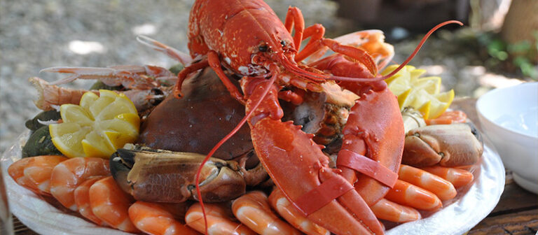 Descubre los tipos de mariscos en España - Frigoríficos Torres
